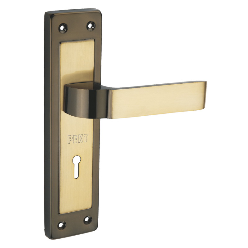 Pekt Locks | Aligarh Locks Manufacturer